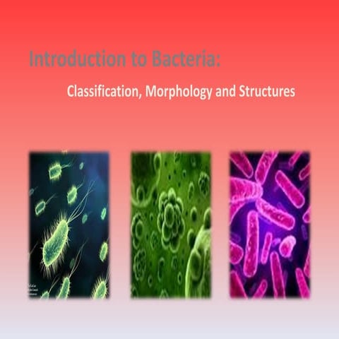 bacteria intro including the types of bactera | PPT