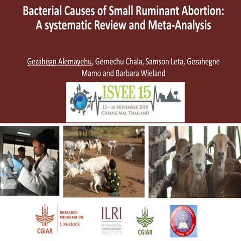 Bacterial causes of small ruminant abortion: A systematic review and ...