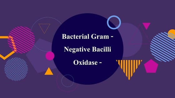 Gram negative oxidase positive | PPT