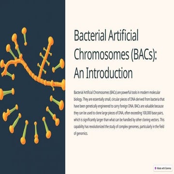 Bacterial-Artificial-Chromosomes-BACs-An-Introduction.pptx