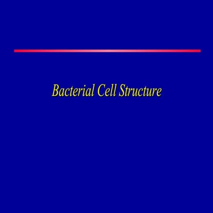 Bacterial Cell Structure Ppt