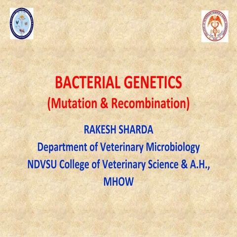 Bacterial-genetics for msc students with explanation | PPT