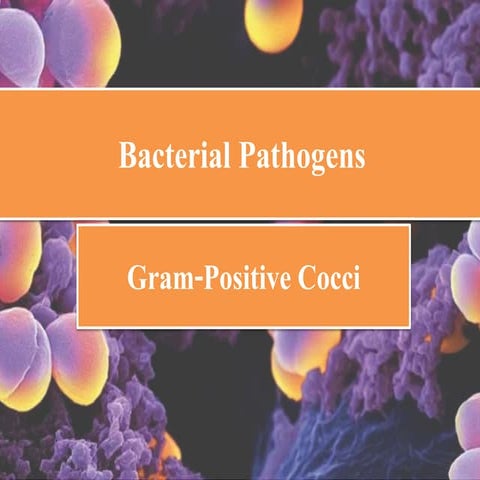 Bacterial Gram- positive Cocci | PPTX