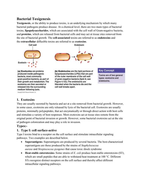 Toxin(Bacterial Toxin) || Microbiology || | PPT
