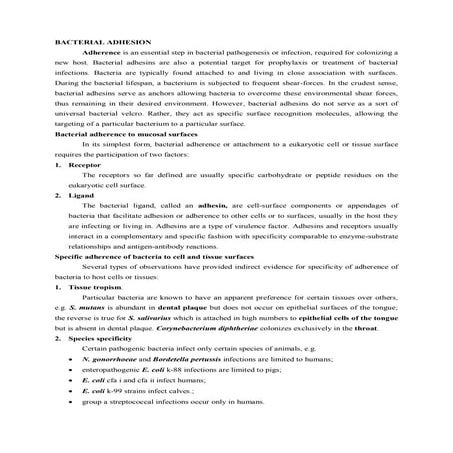 bacterial_adhesion.pdf