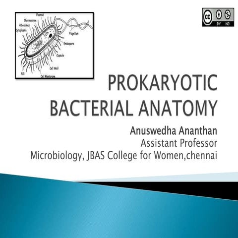 Bacterial anatomy | PPTX