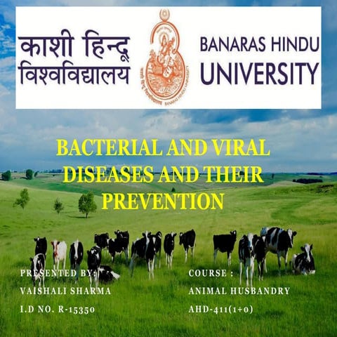 Bacterial and viral diseases converted | PDF