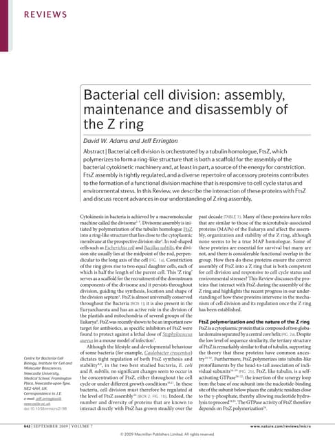 bacterial cell division | PPTX | Biological Sciences | Science