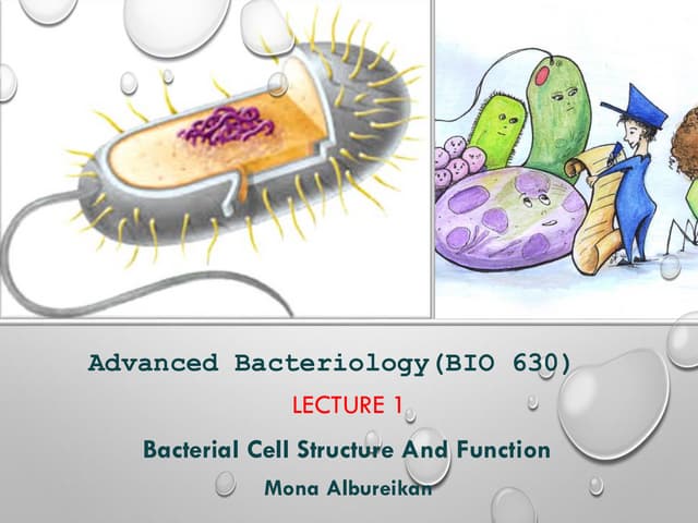 Bacteria structure and function | PPTX