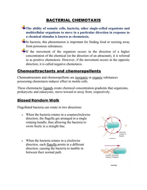Bacterial chemotaxis swaati | PDF
