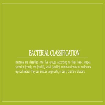 Bacteria l classification(sperical).pptx