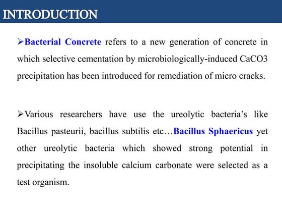 self healing concrete (based on a bio concrete) | PPT