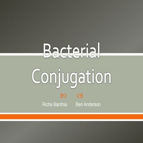 Gene transfer mechanisms in bacteria | PPT