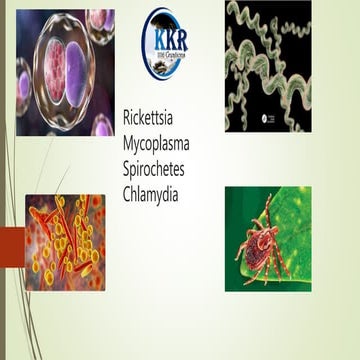 Bacterial cuiture | PPTX