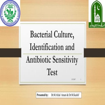 Bacterial culture, identification and antibiotic sensitivity test | PDF