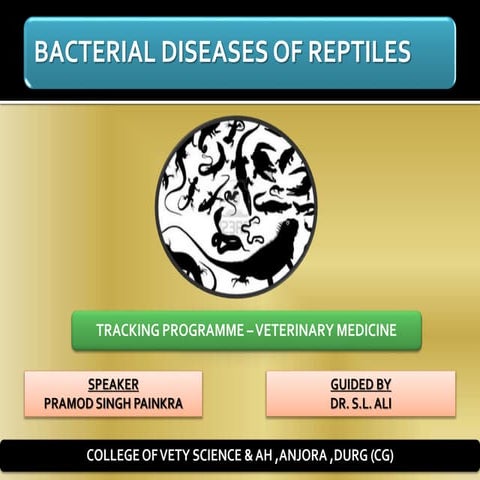 Bacterial diseaes of reptiles | PPTX