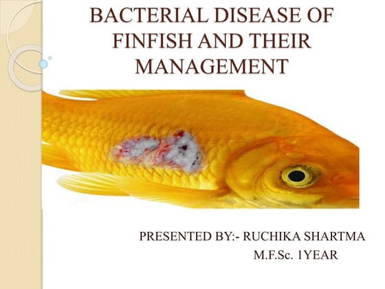 FISH DISEASES AND THEIR TYPES | PPT
