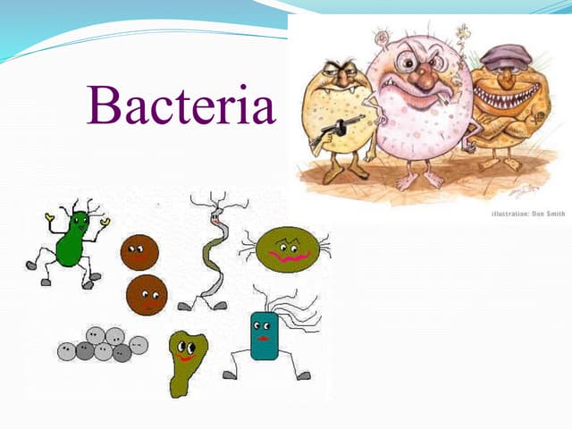 Bacteria Pptx