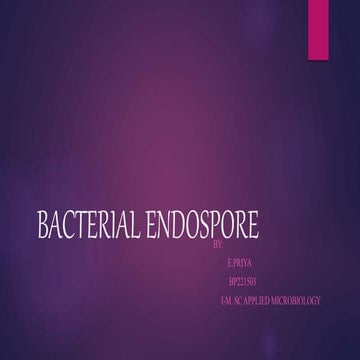 bacterial spore.ppt