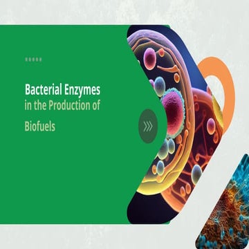 How Bacterial Enzymes Boost Biofuel Production Efficiency | PPT