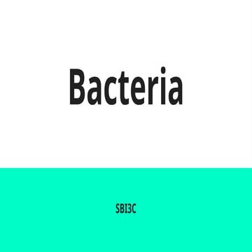 Bacteria Lesson on bacteria and their reproductive | PPT