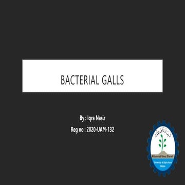bacterial galls.pptx
