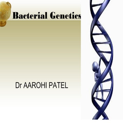 Bacterial genetics | PPT