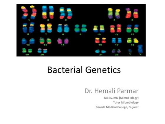 Tools of biotechnology | PPT | Biotech and Biomedical Industry | Industries