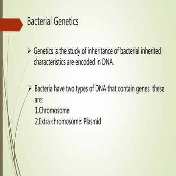 Bacterial genetics | PPT