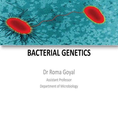 BACTERIAL GENETICS for MBBS students | PPTX