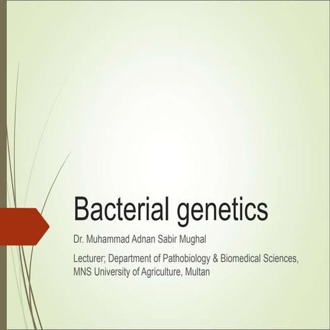 Brief Introduction to Bacterial genetics.ppt