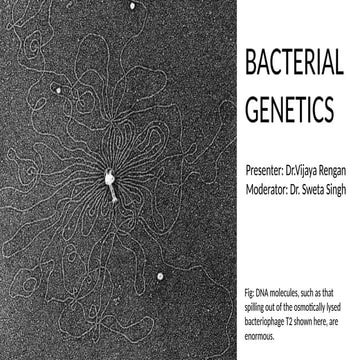 Bacterial Genetics with concepts and examples.pptx