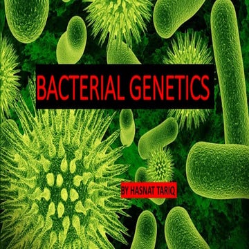 Bacterial genetics | PPTX