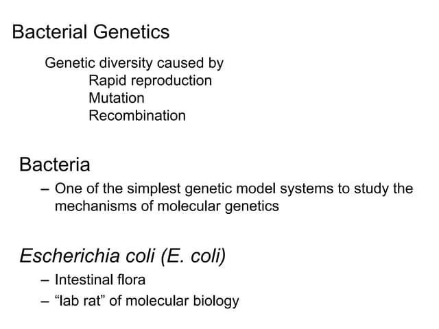 E.coli as model organism and its life cycle. | PPT