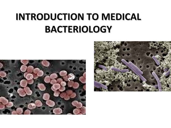 Cell wall appendages | PPTX