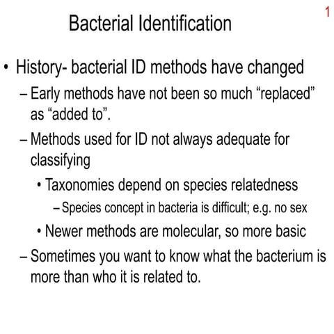 Bacterial Identification.ppt