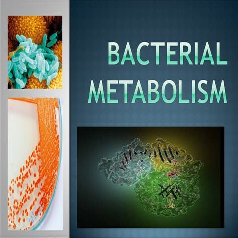 Bacterial metabolism is a complex process that involves the conversion ...