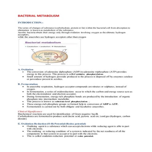 Bacterial metabolism | DOCX