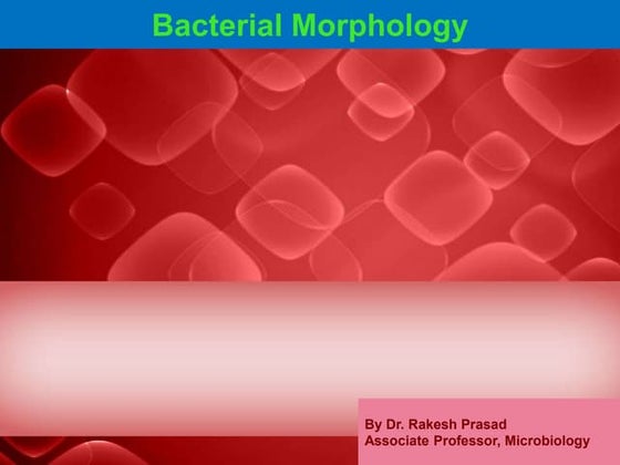 Structure of bacterial cell | PPT