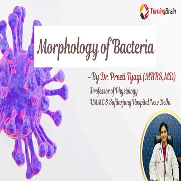 Morphology of Bacteria – A Visual Guide by Dr. Preeti Tyagi | PDF