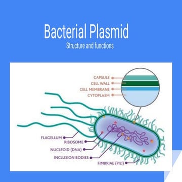 Bacterial Plasmid Structure and Functions | PDF