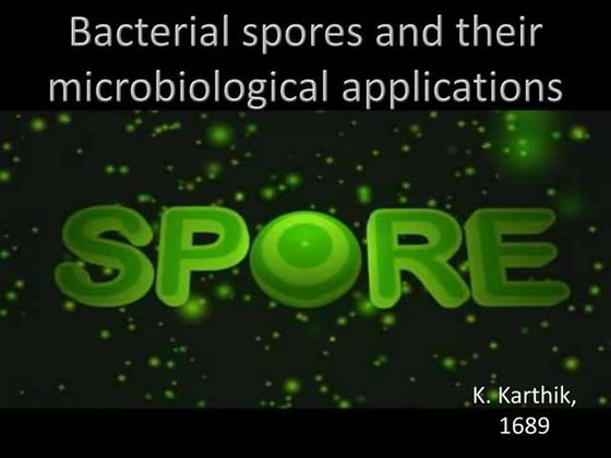 bacterial spore.ppt