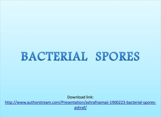 bacterial spore.ppt
