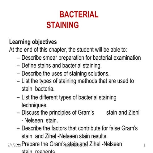 Bacterial staining.pptx