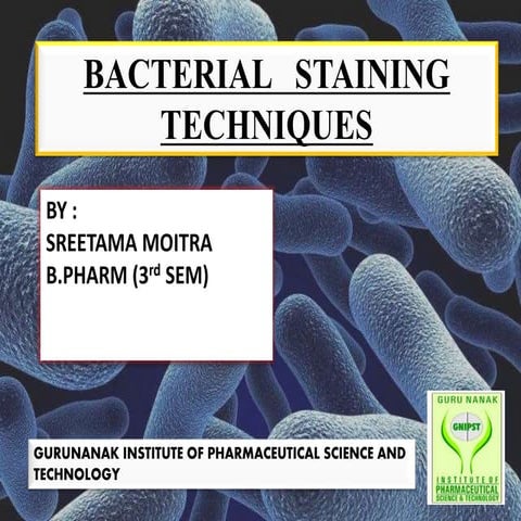 Bacterial Staining Techniques | PPTX