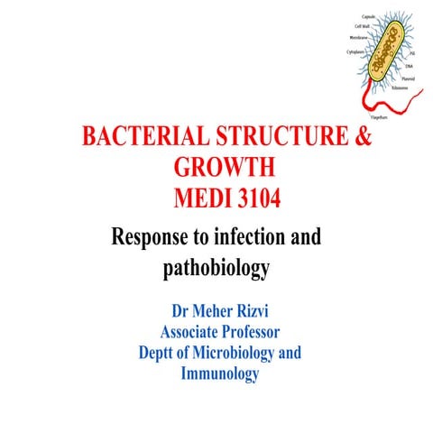 Bacterial structure and growth | PPT