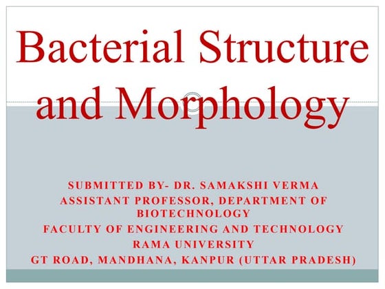 Morphological classification of bacteria | PPTX | Biological Sciences | Science