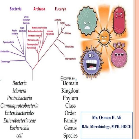 Bacterial taxonomy.pptx | Biological Sciences | Science