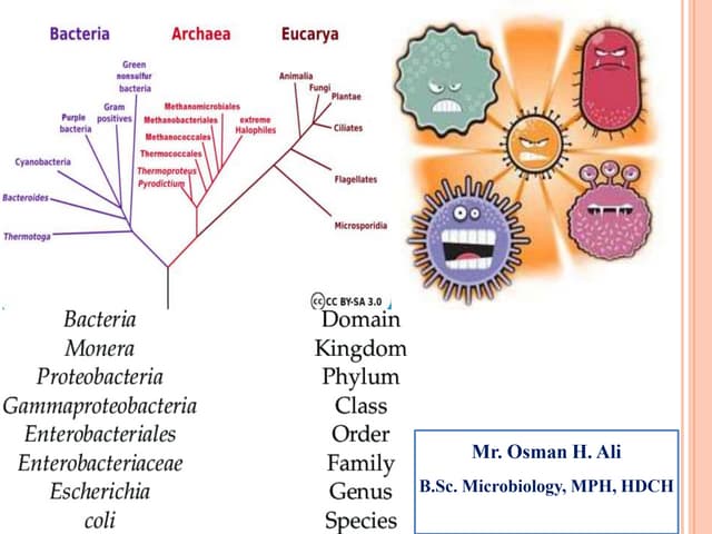 Microbial taxonomy and classification system | PPTX
