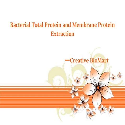 Bacterial total protein and membrane protein extraction | PPT